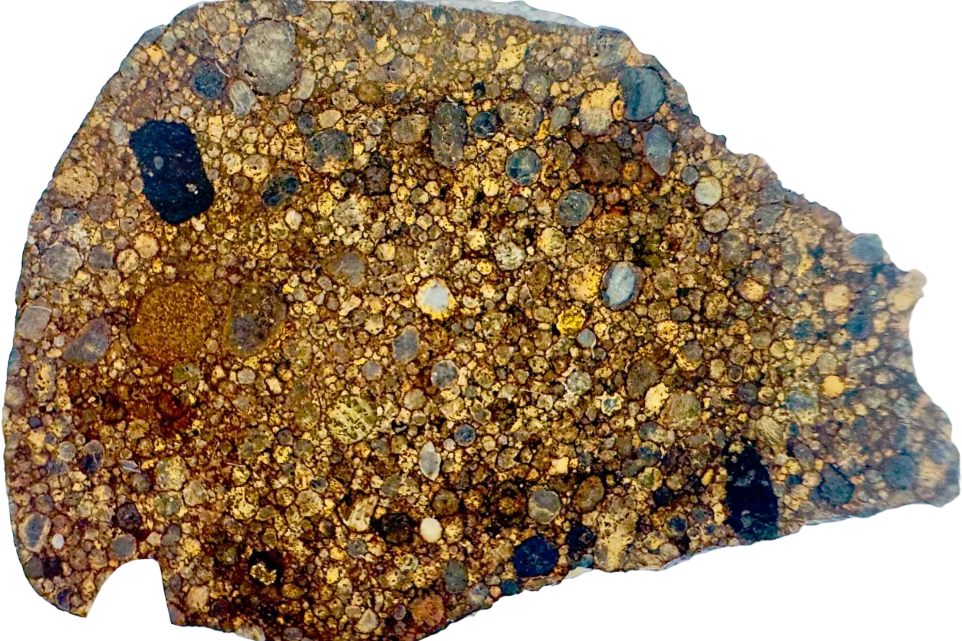 Chondrites for Sale, Primitive Stony Meteorites for Collectors ...